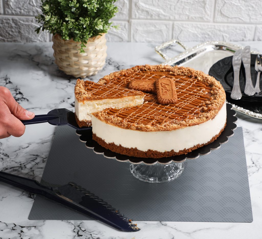 Cake Knife and Server Brownie – BioMix